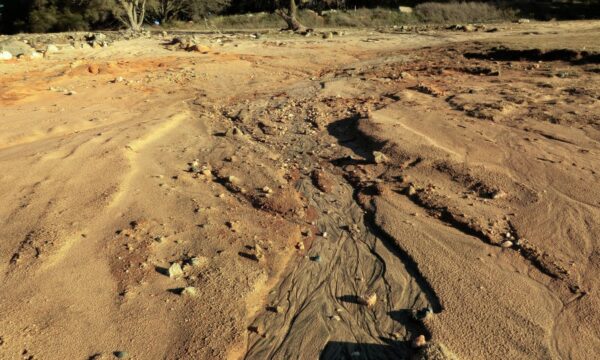 Different Types of Soil Erosion and How to Prevent Them