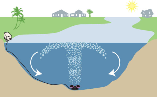 Why Are Fountains and Aeration Systems So Popular?