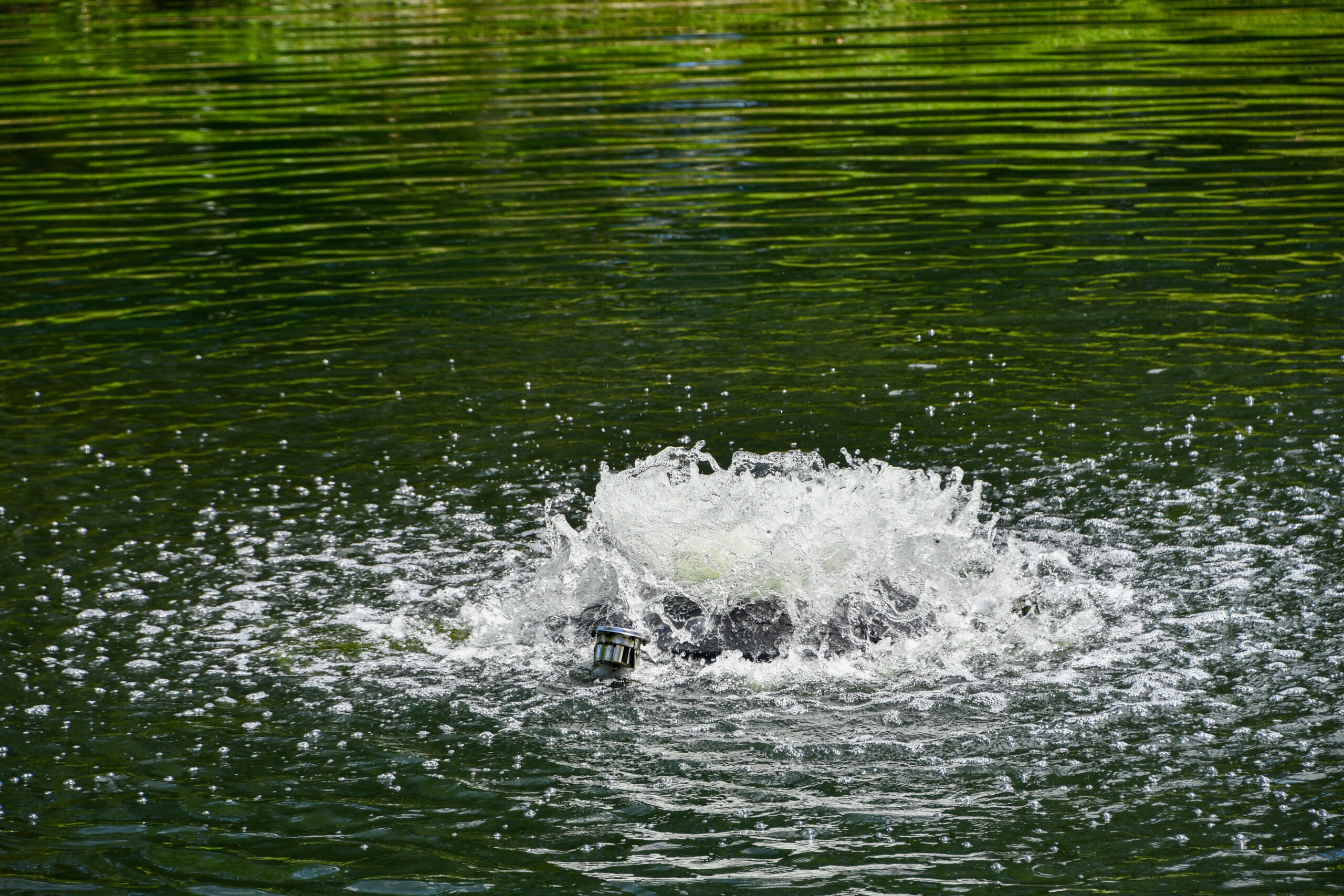 Signs Your Pond Fountain or Aerator Needs to Be Replaced