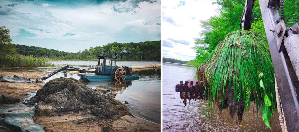 Lake Weed Removal Services: How to Get Rid of Lake Weeds