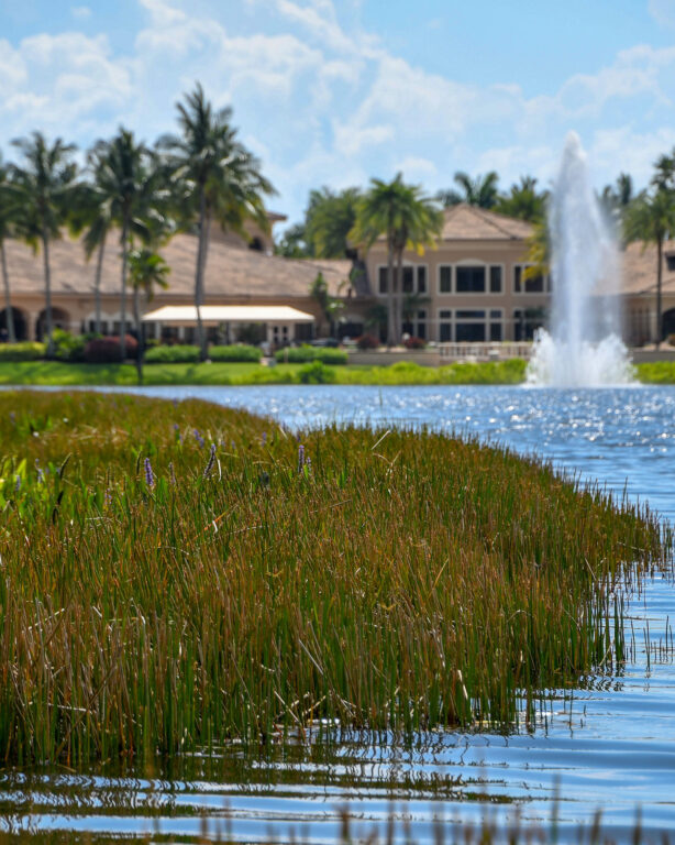 Utilize Buffer Zones as a Preventative Pond Maintenance Tool