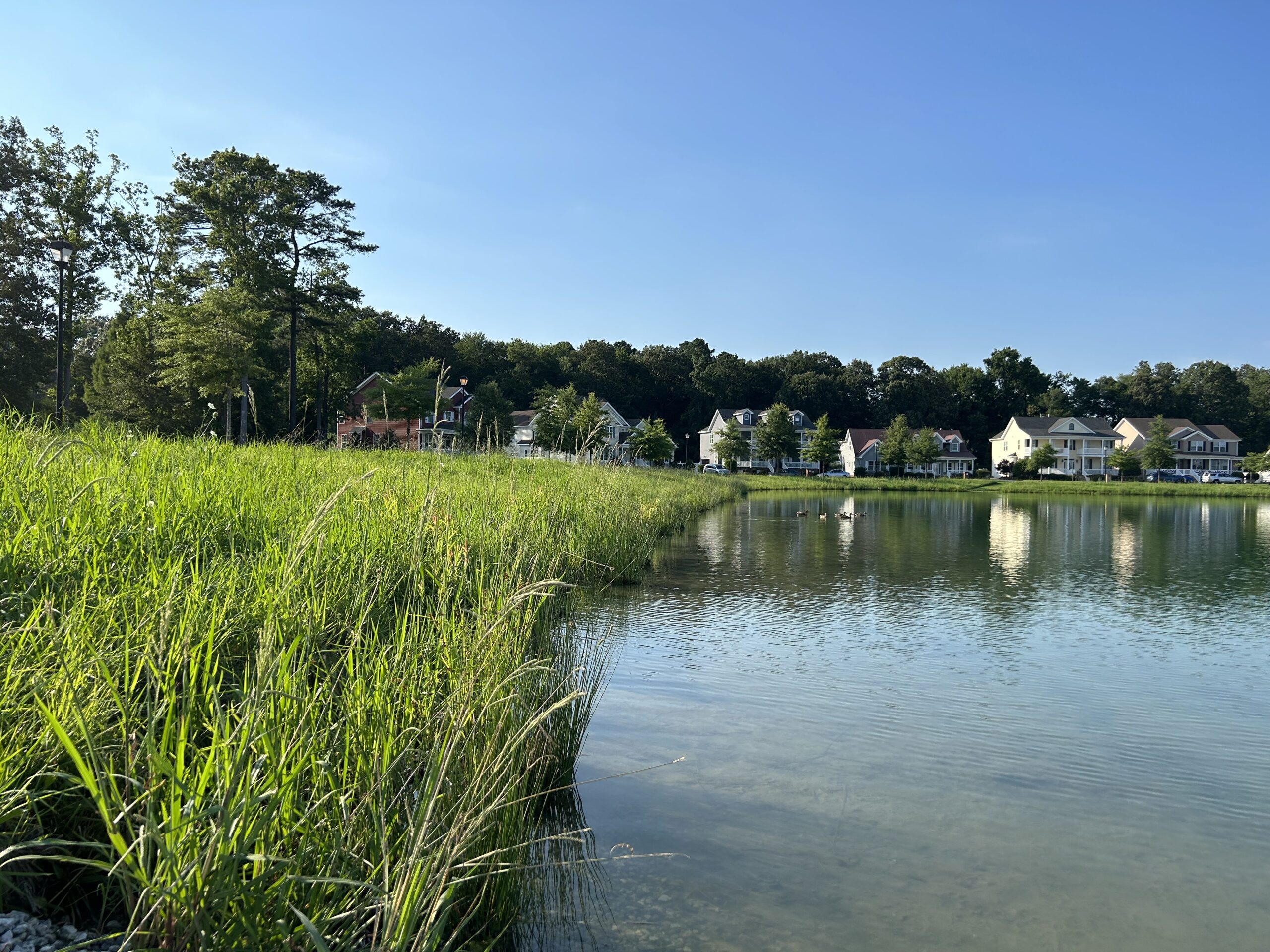 Refresh Your Lake's Shoreline and Repair Erosion Damage