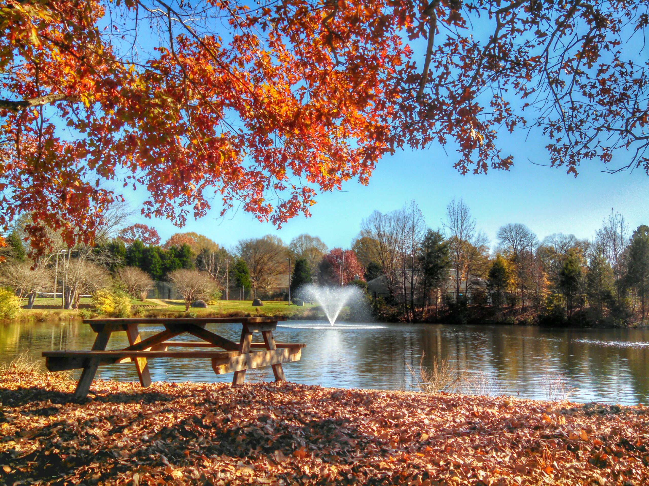Fall Pond Fountain Maintenance and Repair Best Practices