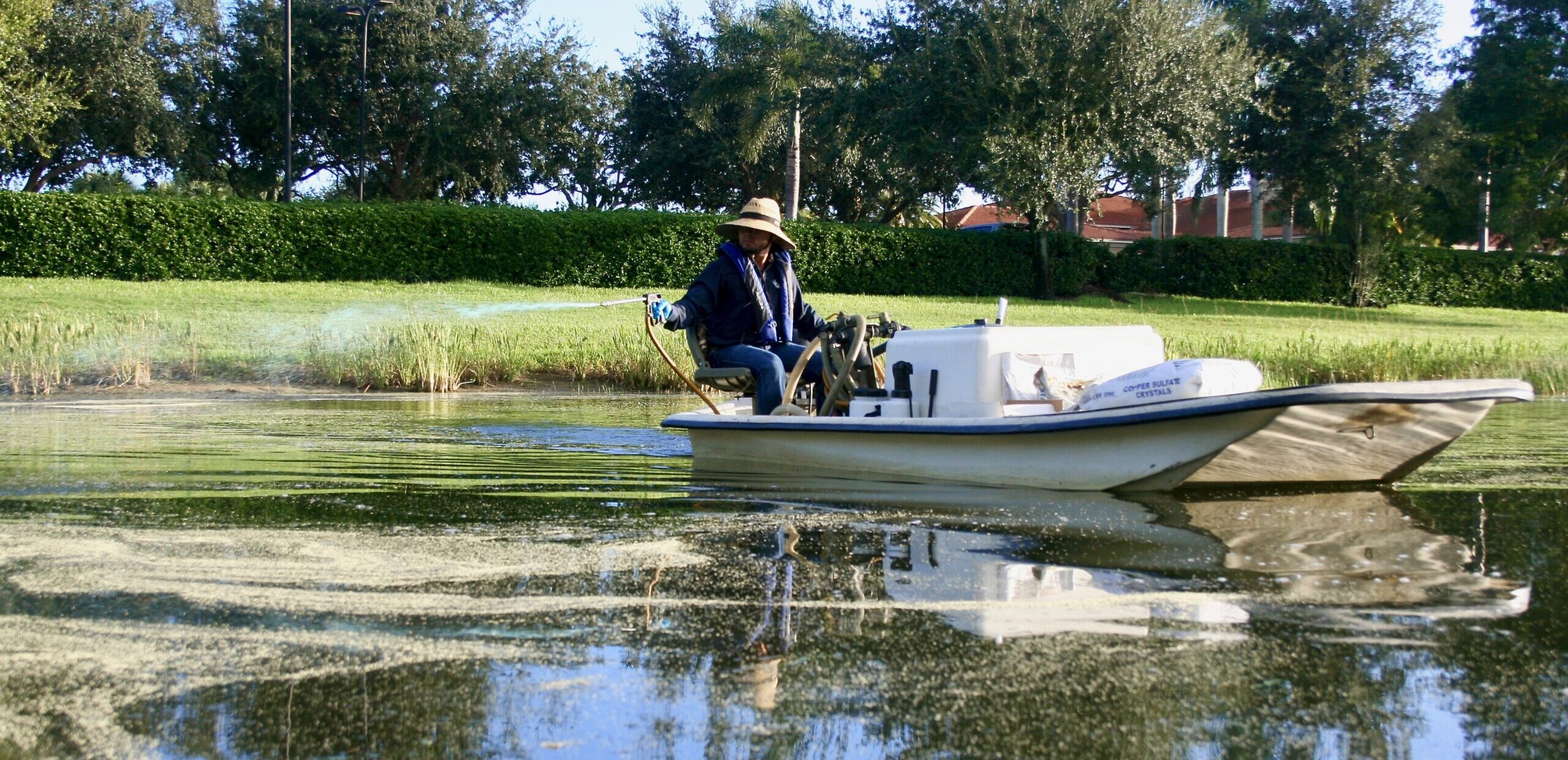 How to Effectively and Safely Control Pond Weeds and Algae
