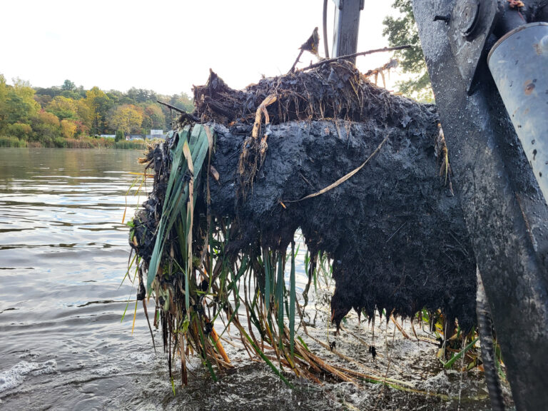 Lake Cleaning 101: Basics and Services