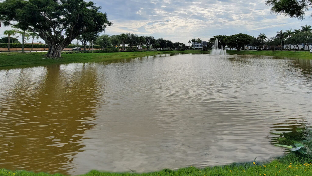 Improve Water Quality with Nutrient Remediation