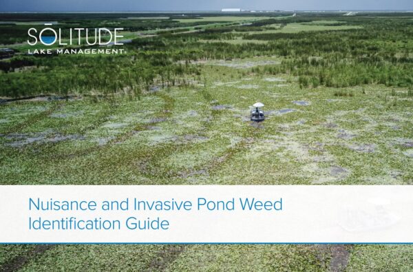 Aquatic Weed Identification Guide