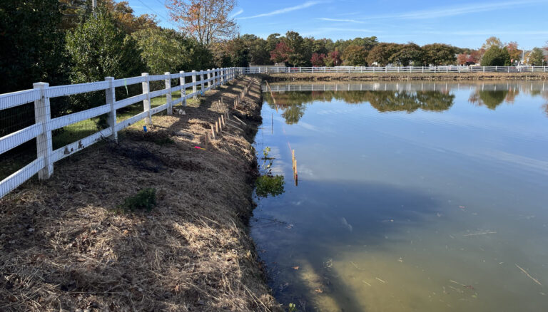 Repairing Pond Erosion Damage with a Bioengineered Shoreline