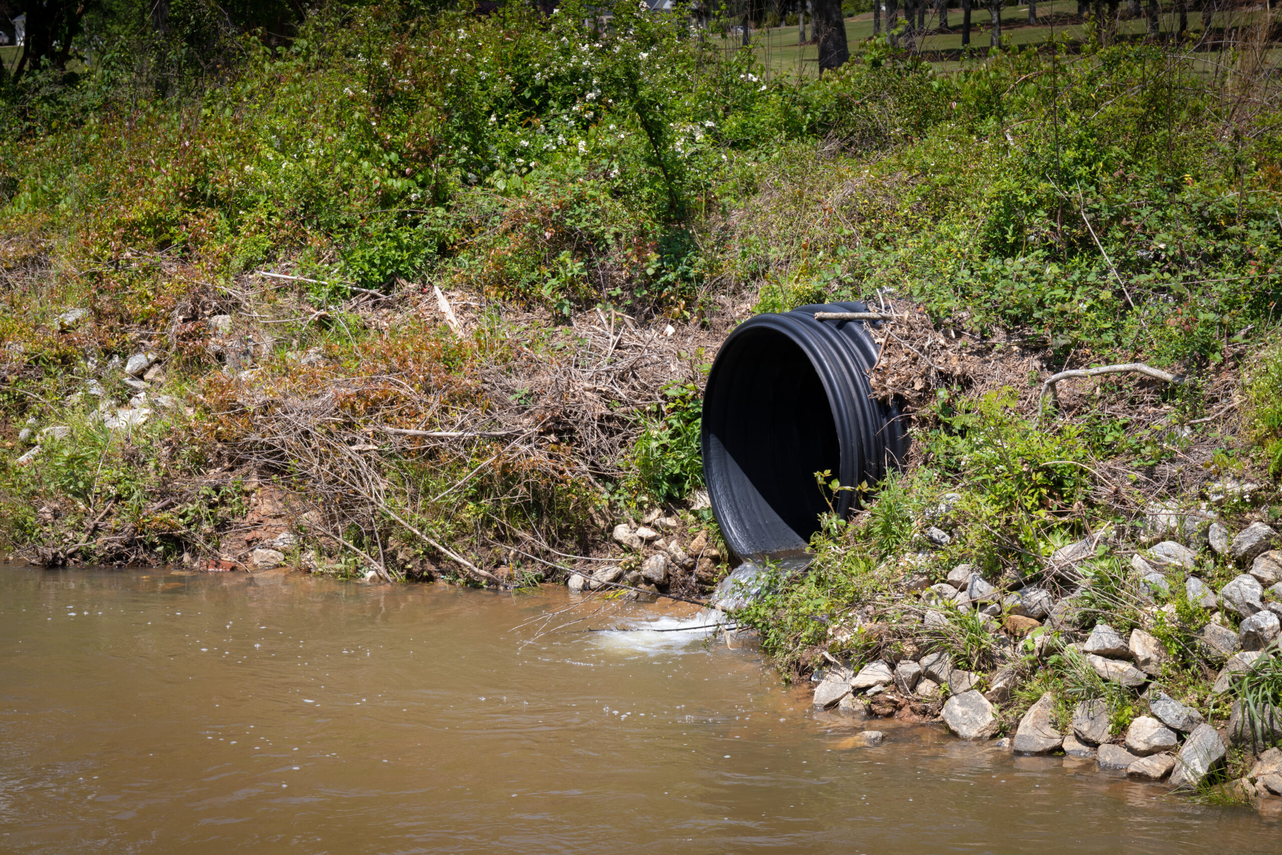 What causes nutrient pollution in lakes and how can it be fixed?