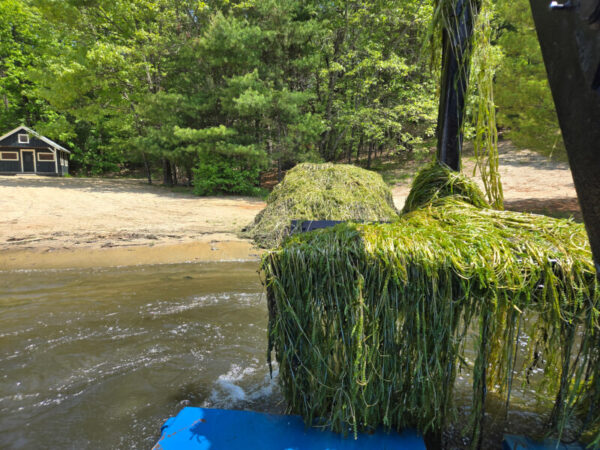 Aquatic Weed Control and Prevention Services