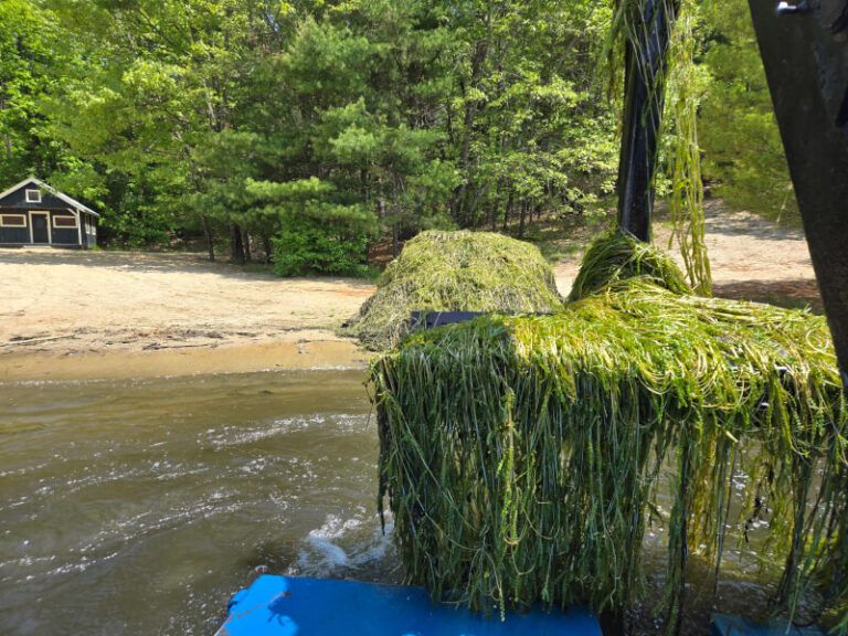Aquatic Weed Control and Prevention Services
