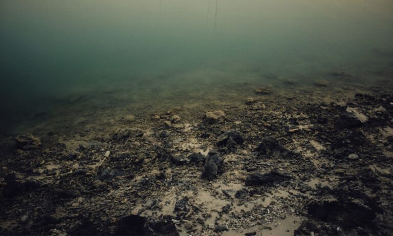 Pond Muck: Identify & Remove Bottom Muck and Slime