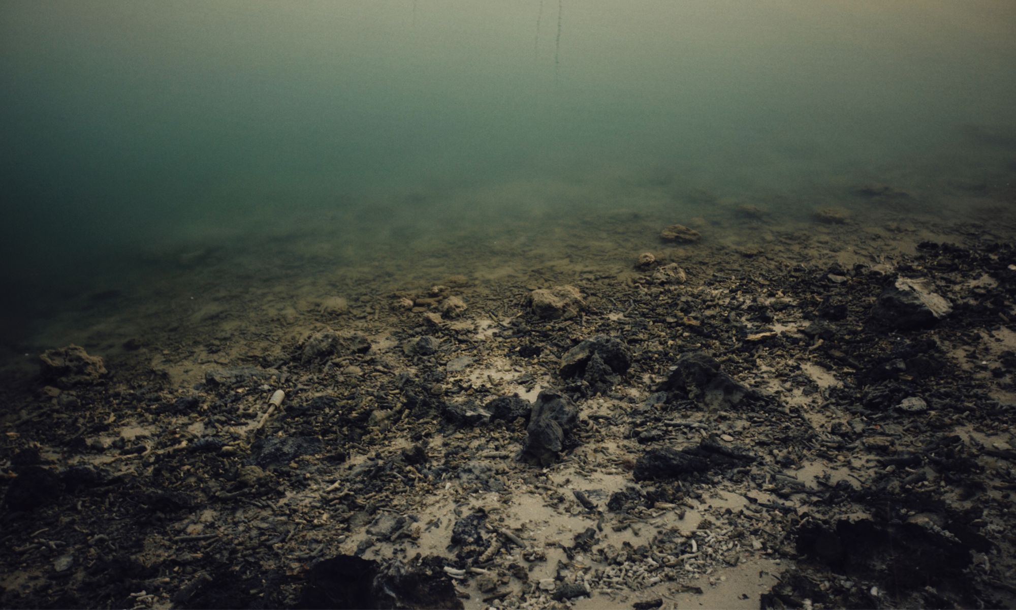 Pond Muck: Identify & Remove Bottom Muck and Slime