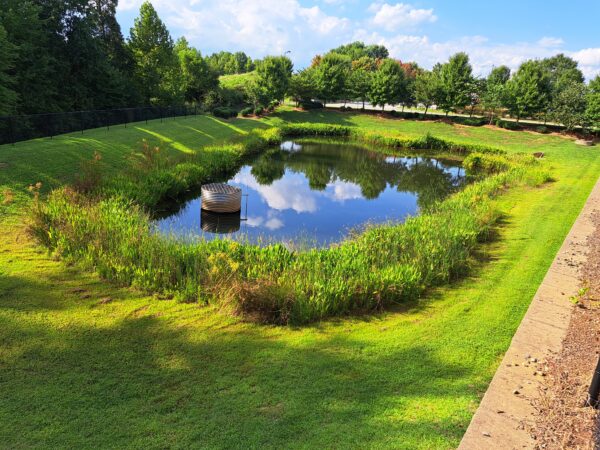 How to Manage High Nutrient Levels in Stormwater Ponds