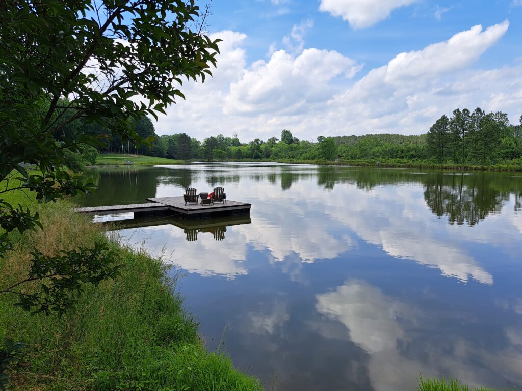 Understanding Pond Turnover: Causes & Prevention