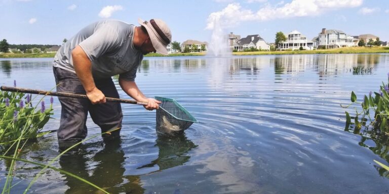 Fish Stocking Guide for Northern & Southern Ponds and Lakes