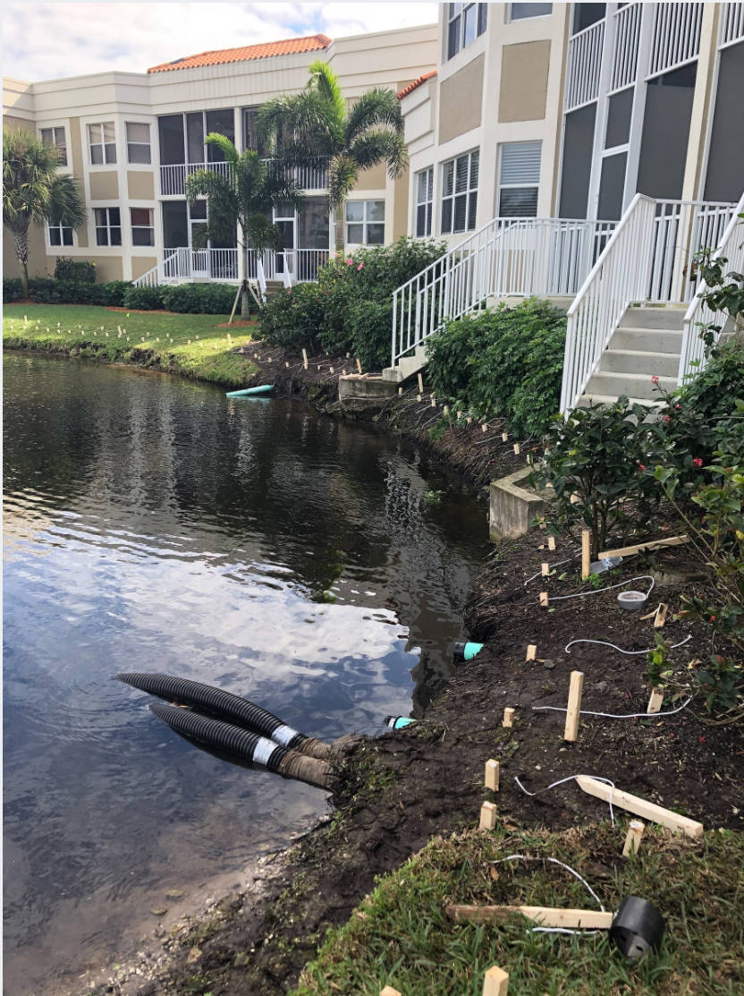 Shoreline Erosion: Hidden Costs and Prevention Strategies